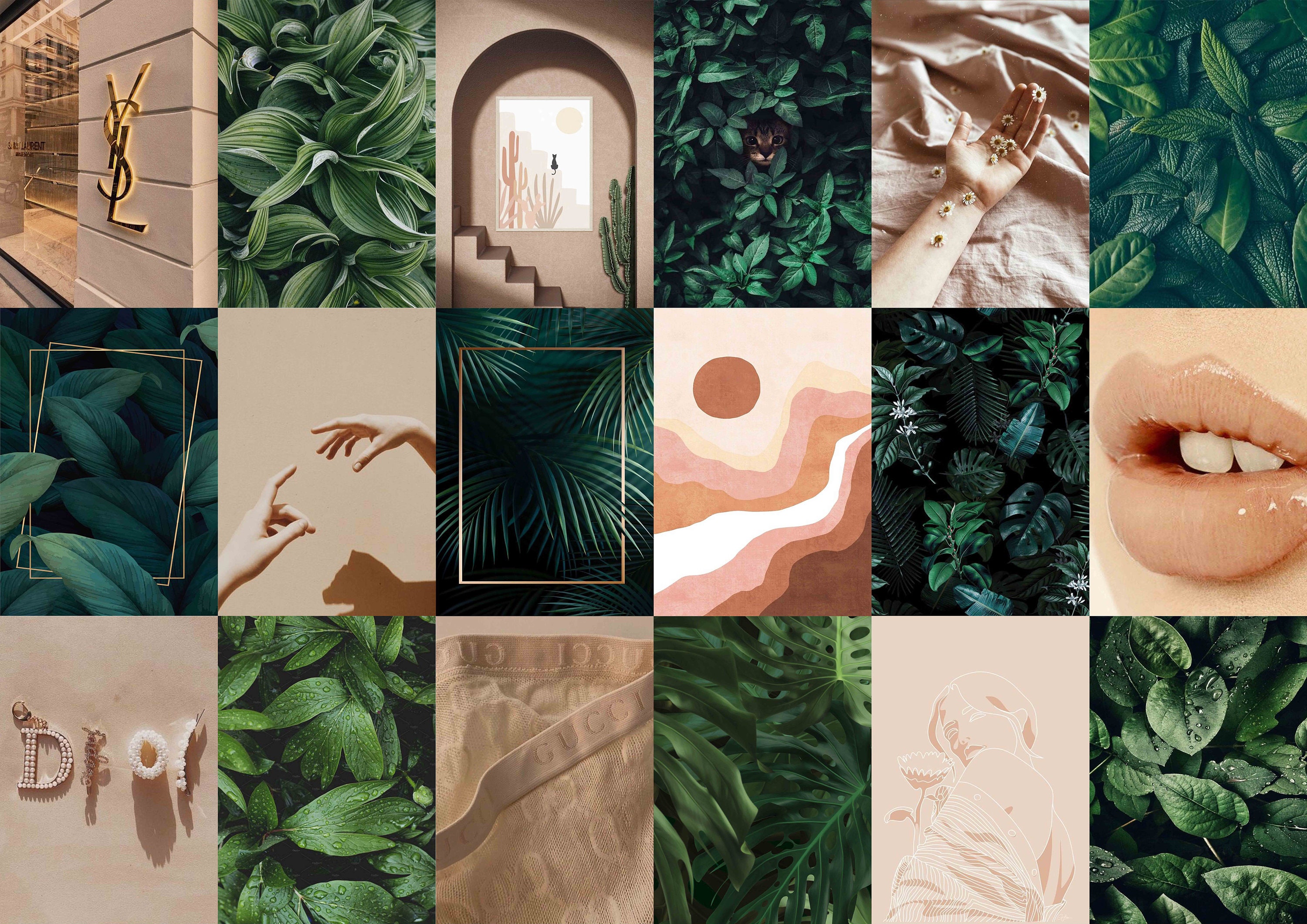 Boujee Boho Wall Collage Kit Aesthetic | Botanical Green Photo Collage ...