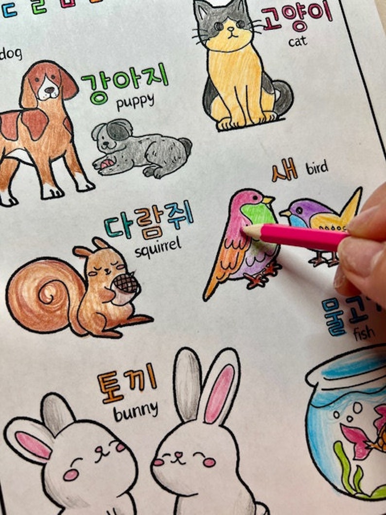Korean Study Coloring Pages How to Read Korean - Etsy UK