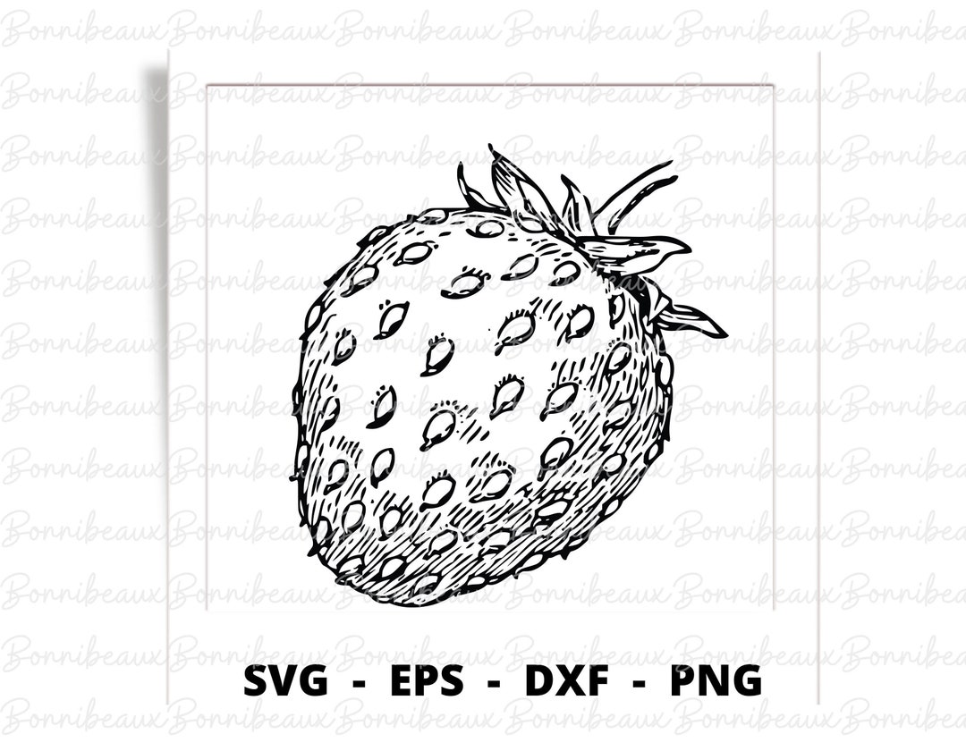 Strawberry, SVG, PNG, Dxf, EPS, Instant Download, Digital Download ...