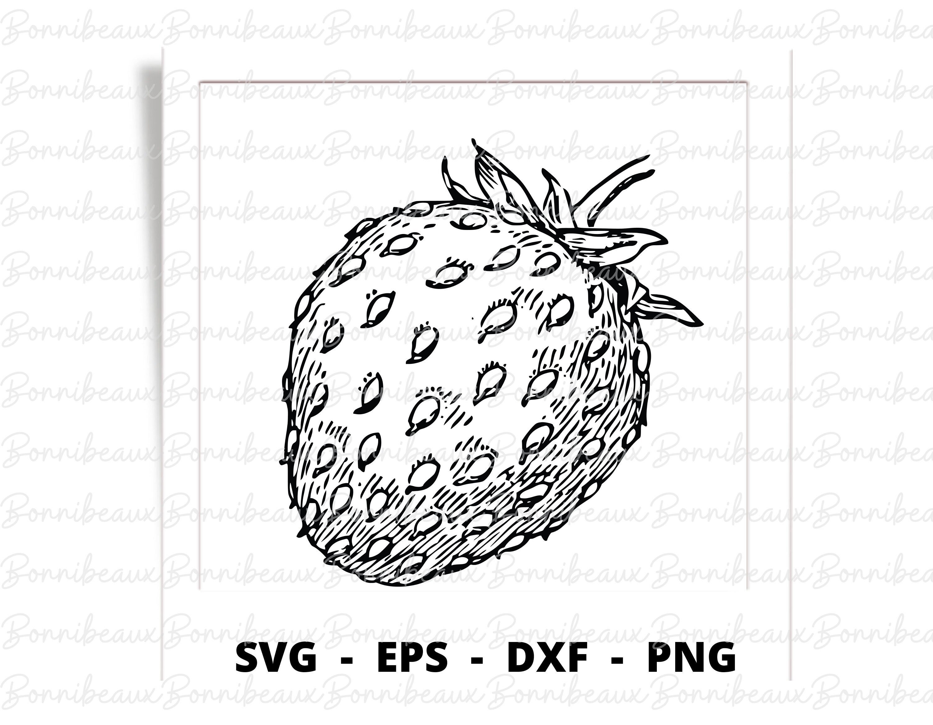 Strawberry, SVG, PNG, Dxf, EPS, Instant Download, Digital Download ...