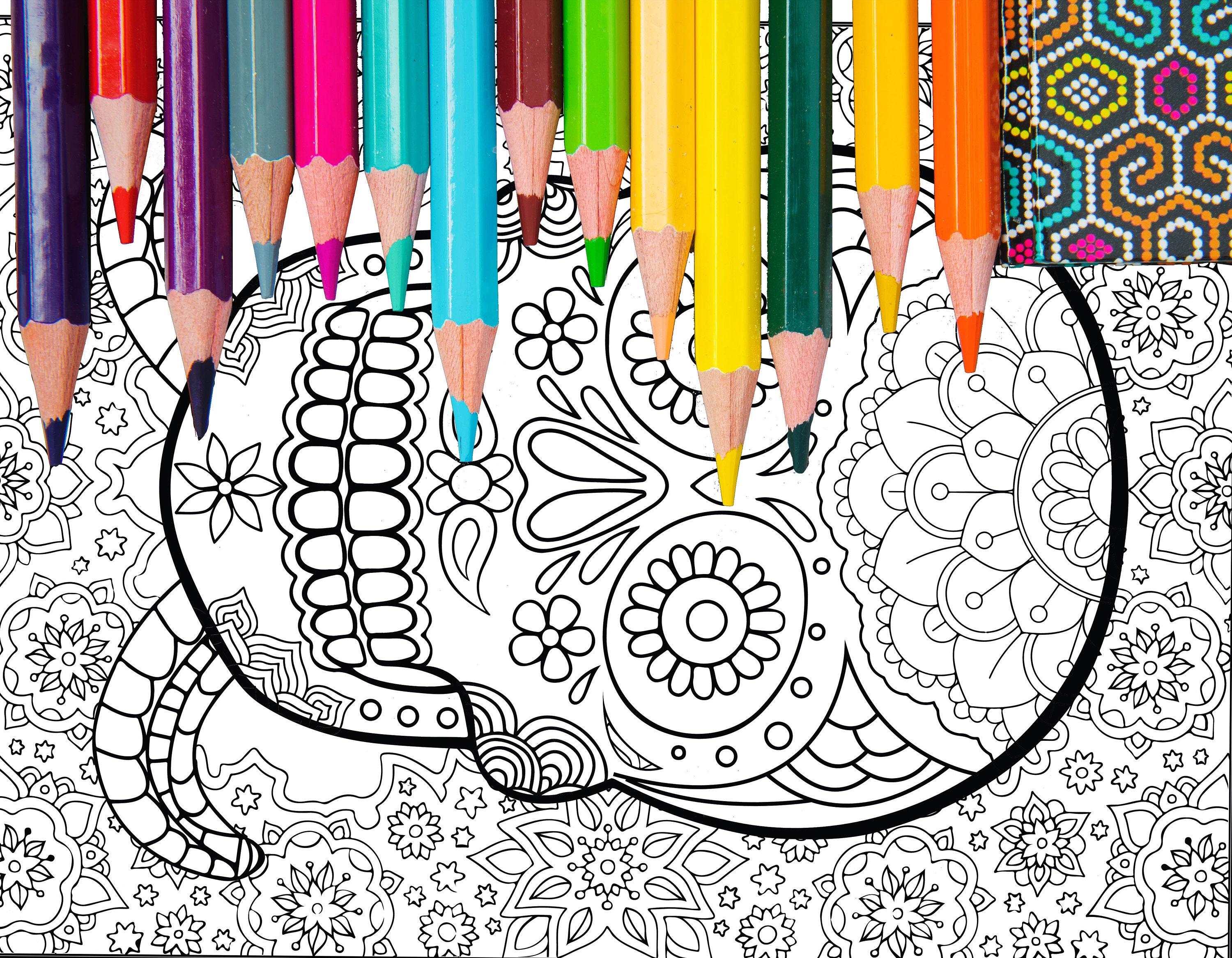 Coloring Book, Instant Download, Clipart, SVG, 50 Digital Coloring ...