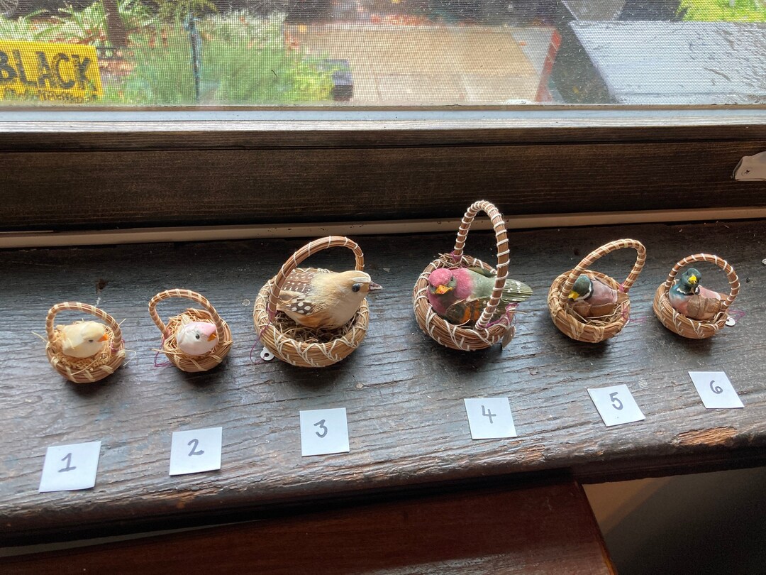 Charming Bird Baskets - Etsy