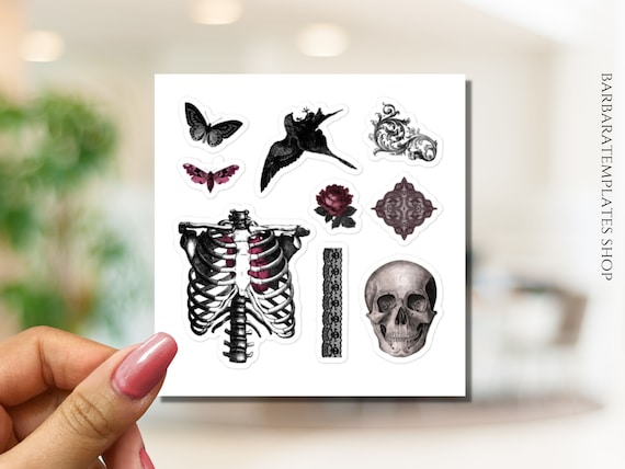 Gothic Sticker Pack Skull Sticker Skeleton Sticker Gothic - Etsy