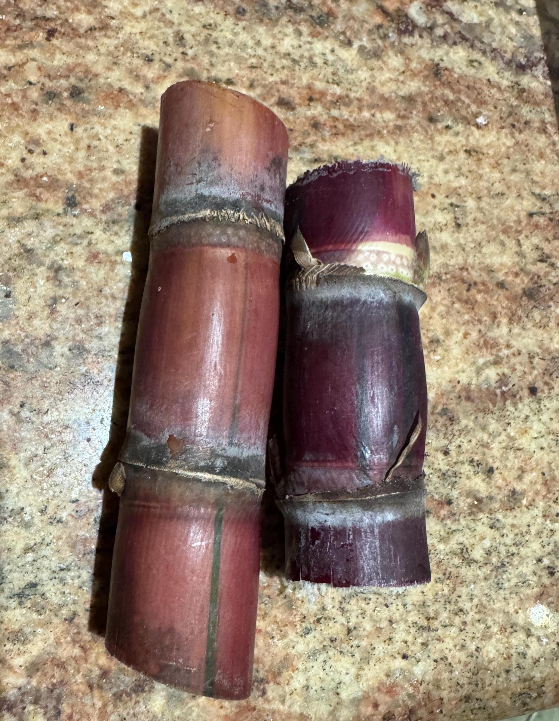 2. Cutting Red Stripe Sugar Cane Cavengerie/ Kava Rangri'/ Louzier ...