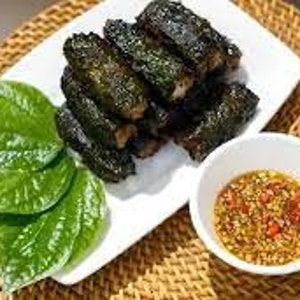 Lot of 5 Stalks Piper Lolot ( Lá Lốt ) Plant / Piper Sarmentosum Leaves ...