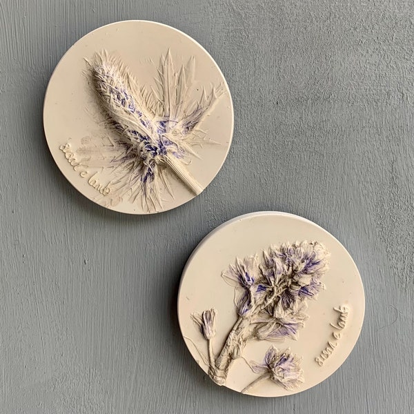 Botanical Plaster Casts - Etsy