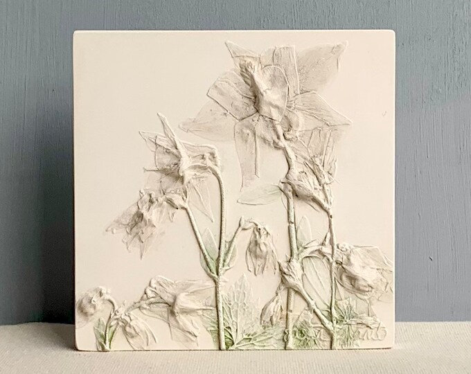 Botanical Plaster Cast, Aquilegia - Etsy