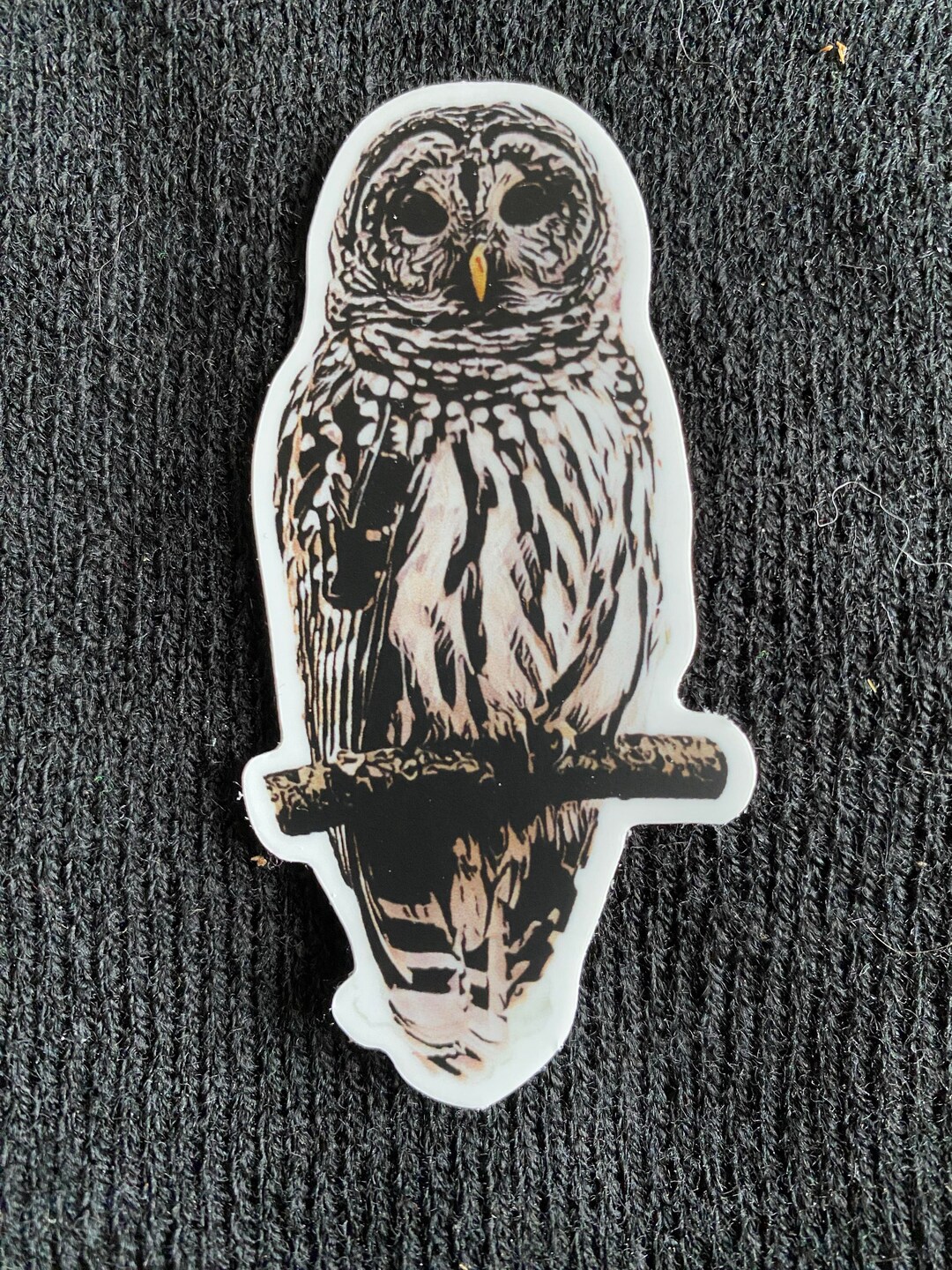 Barred Owl "color" Vinyl Sticker - Etsy