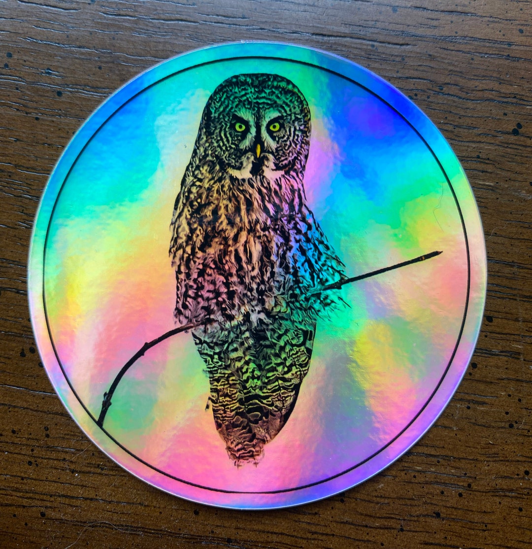 Great Gray Owl Holographic 3" Circular Sticker - Etsy
