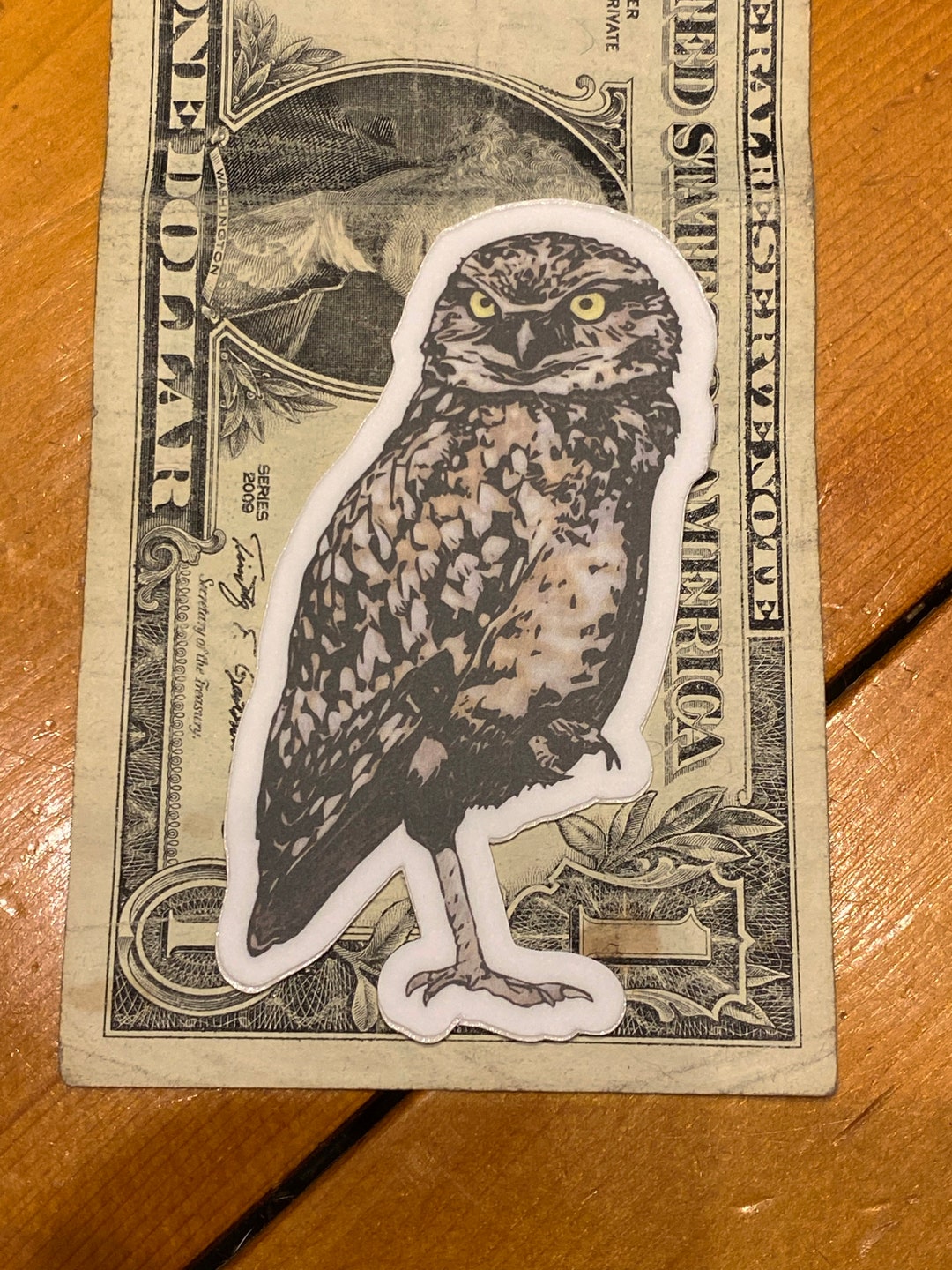 Small Burrowing Owl Sticker, Owl Sticker, Vinyl Sticker, Laptop Sticker ...