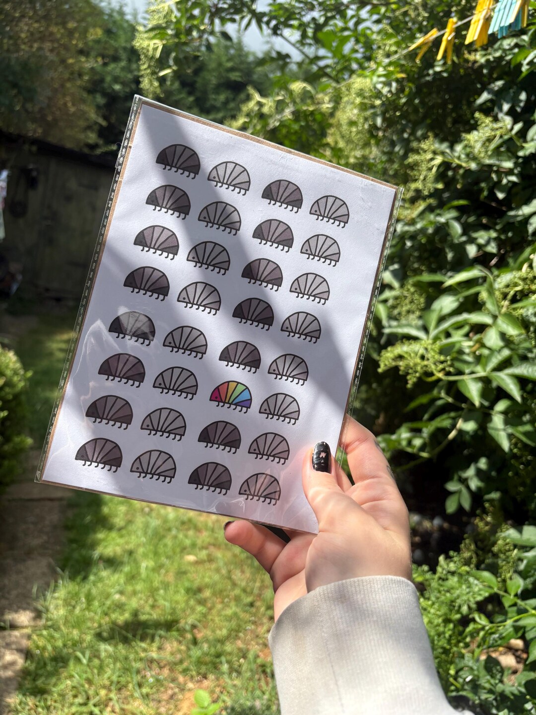 Isopod Art Print // Bugs, Woodlice, Rolypoly, Pillbug Art - Etsy