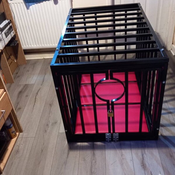Punishment Cage - Etsy UK