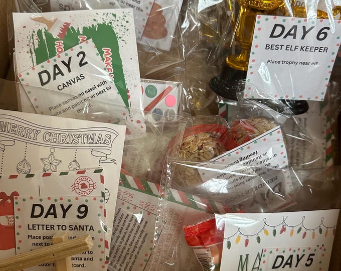 Ultimate Christmas Elf Kit 30 Day Guidebook With More Than 75 Activities and Props Santa Letter ...