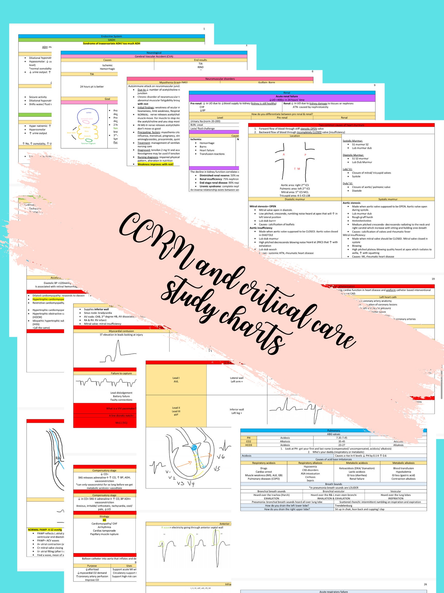 ICU Nurse- CCRN and Critical Care Study Charts - Etsy