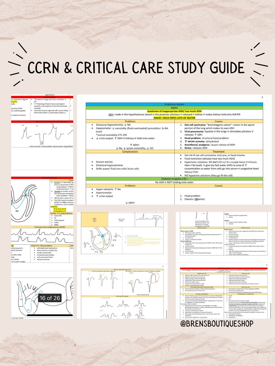 ICU Nurse- CCRN and Critical Care Study Charts - Etsy