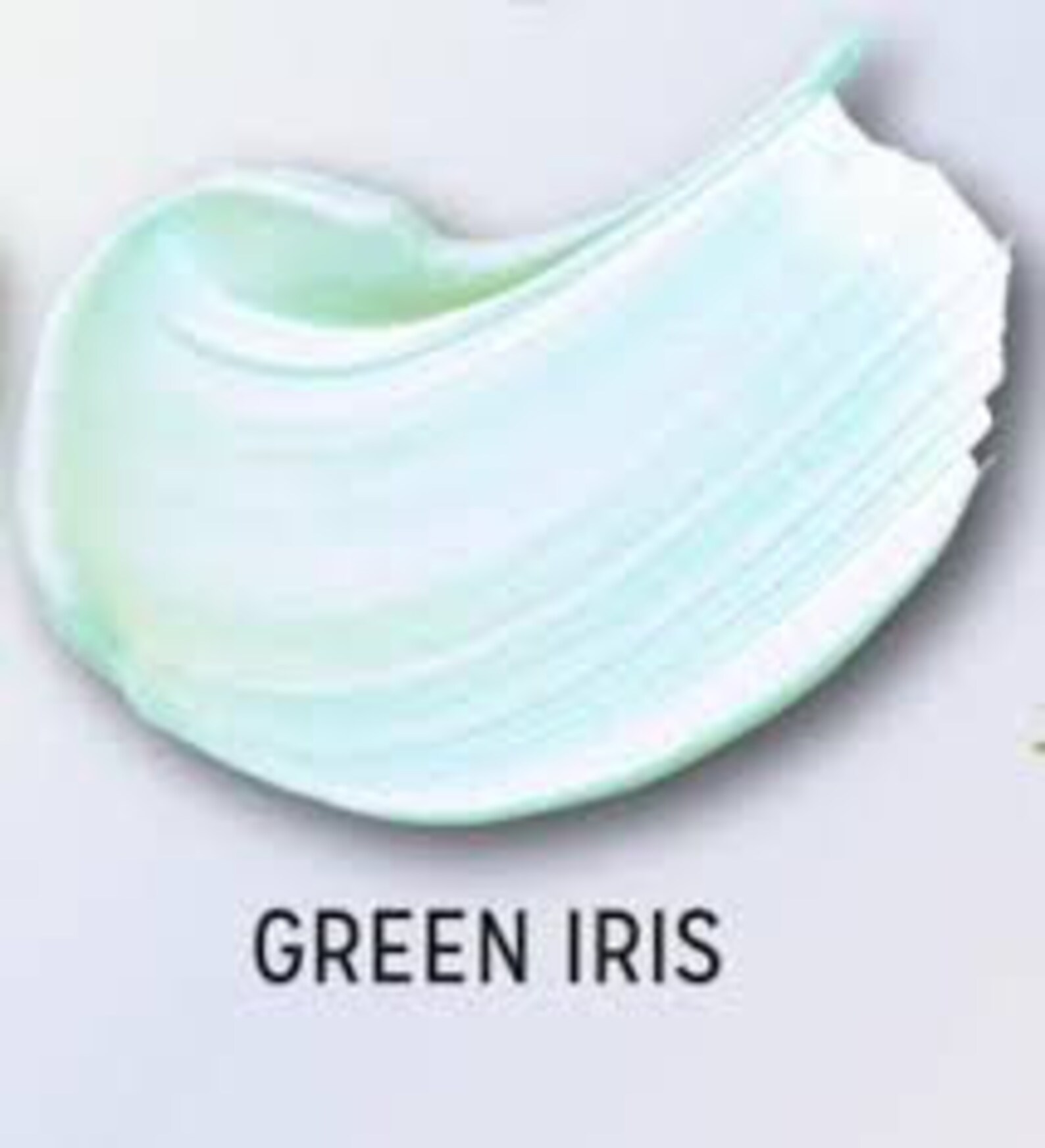 Paint Couture GREEN IRIS Metallic Couture Paint - Etsy