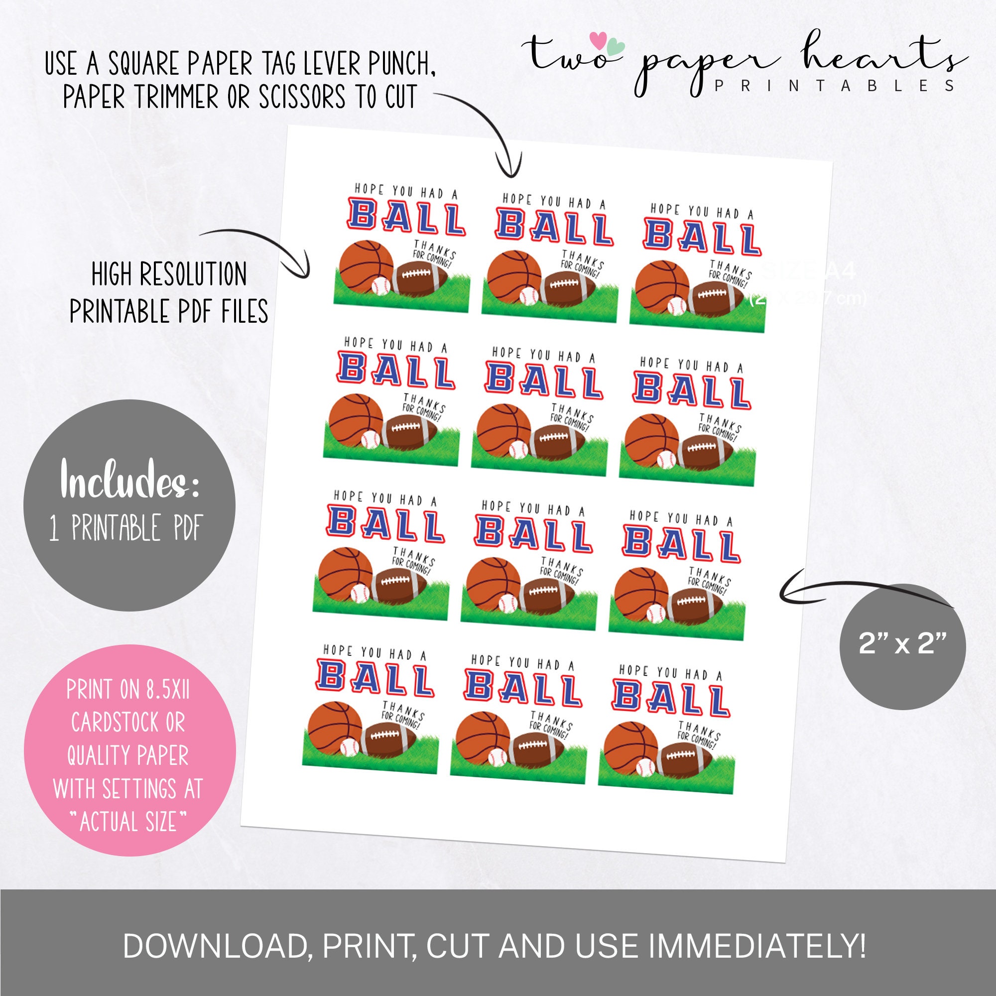 Hope You Had A Ball Tag Template Printable Sports Birthday Party Tags ...