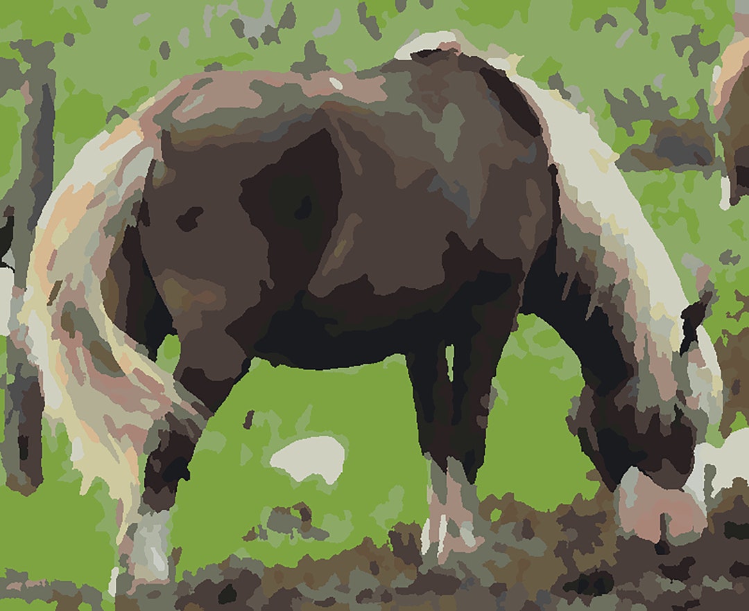 Riptide the Chincoteague Pony Paint by Number Kit for Adults or ...