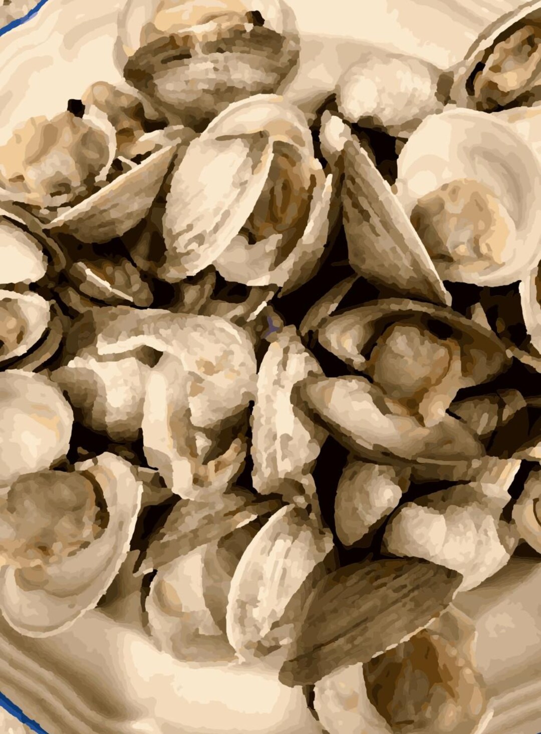 Steamed Clams Paint by Number Kit - Great for Beginners! - Etsy