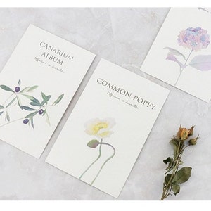 Floral Postcard, 30 Unique Designs Poster Decals Set, Sweet Home Room ...