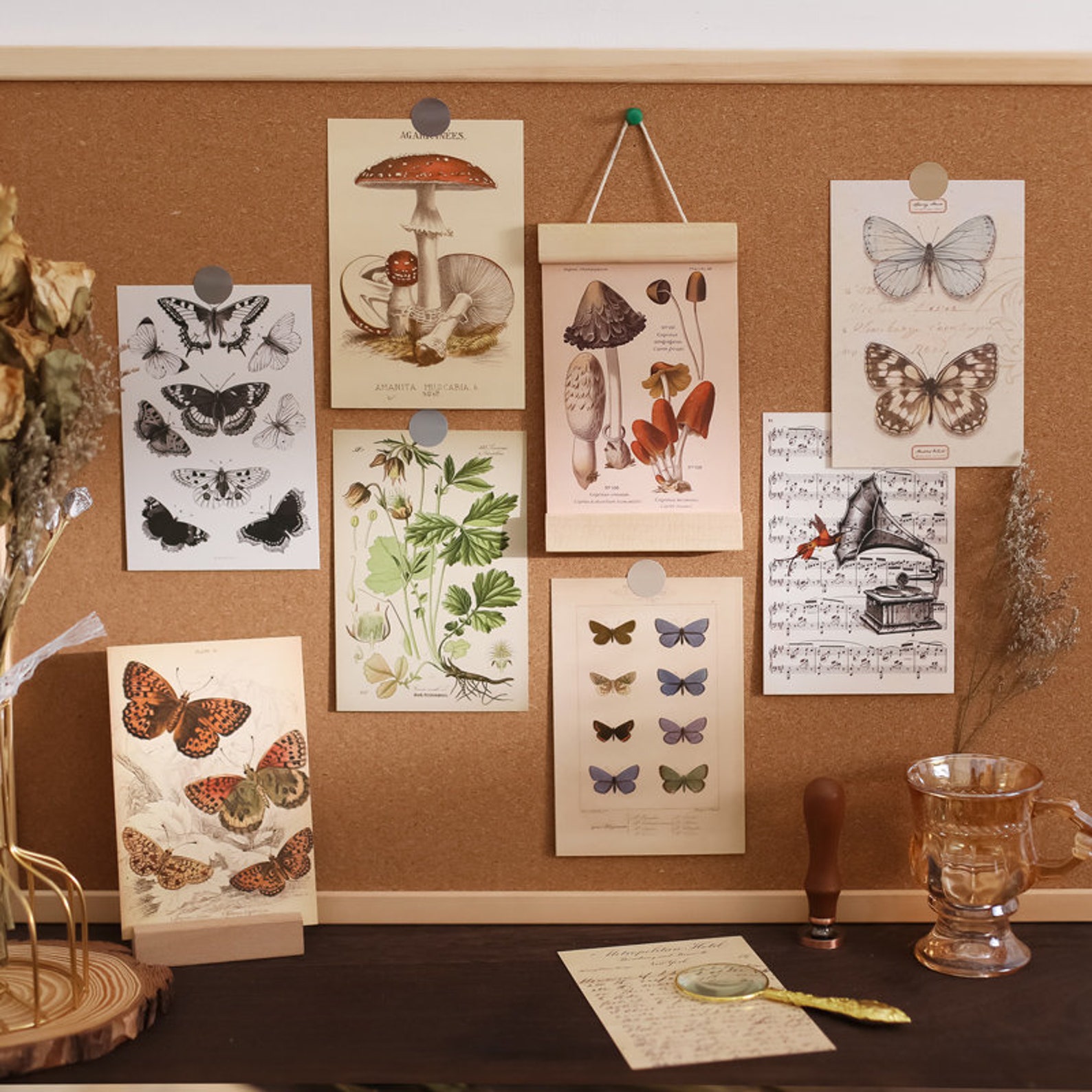 30 Nature Botanical Postcards 6x4 Inch Poster Set Retro - Etsy