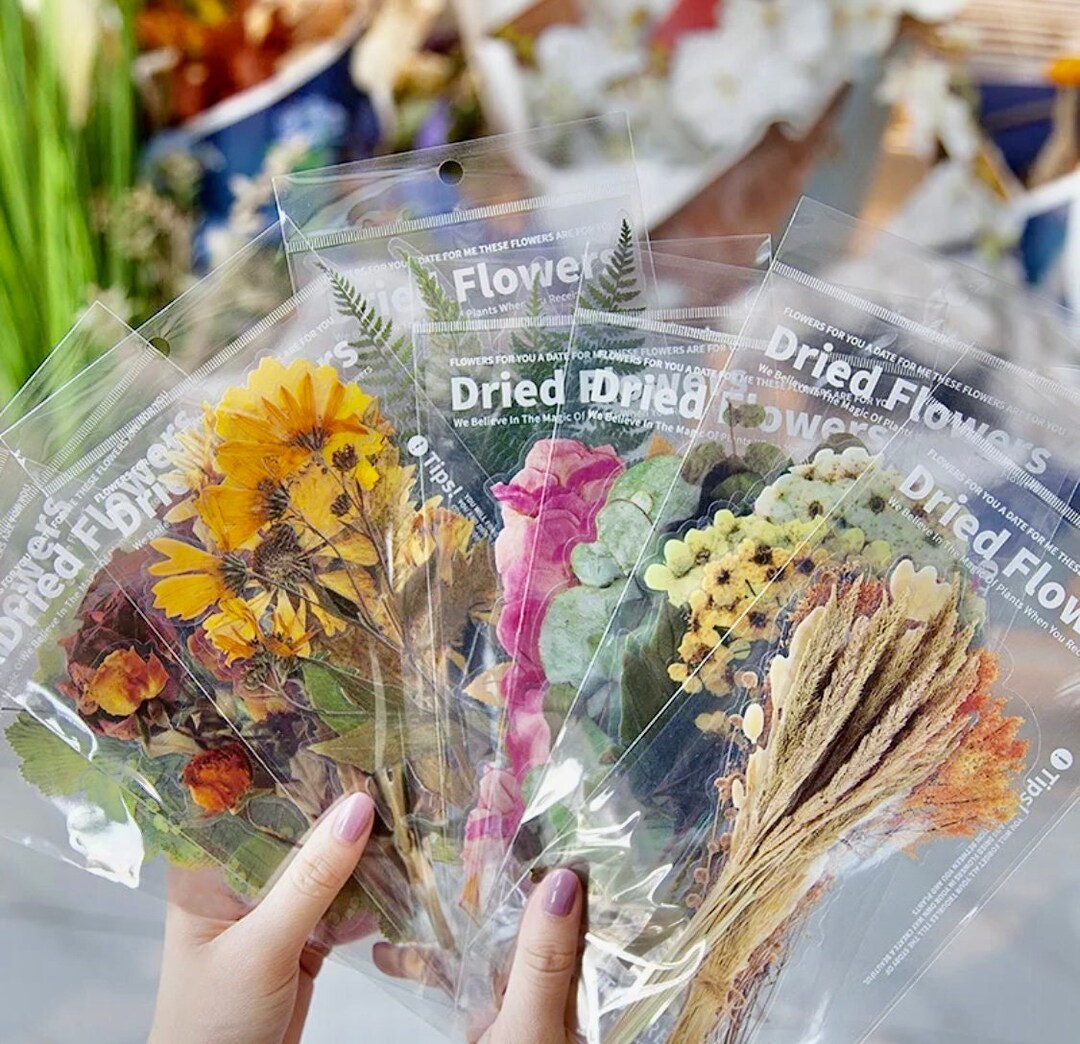 Floral Bullet Journal Stickers Big Size Pressed Flower PET - Etsy