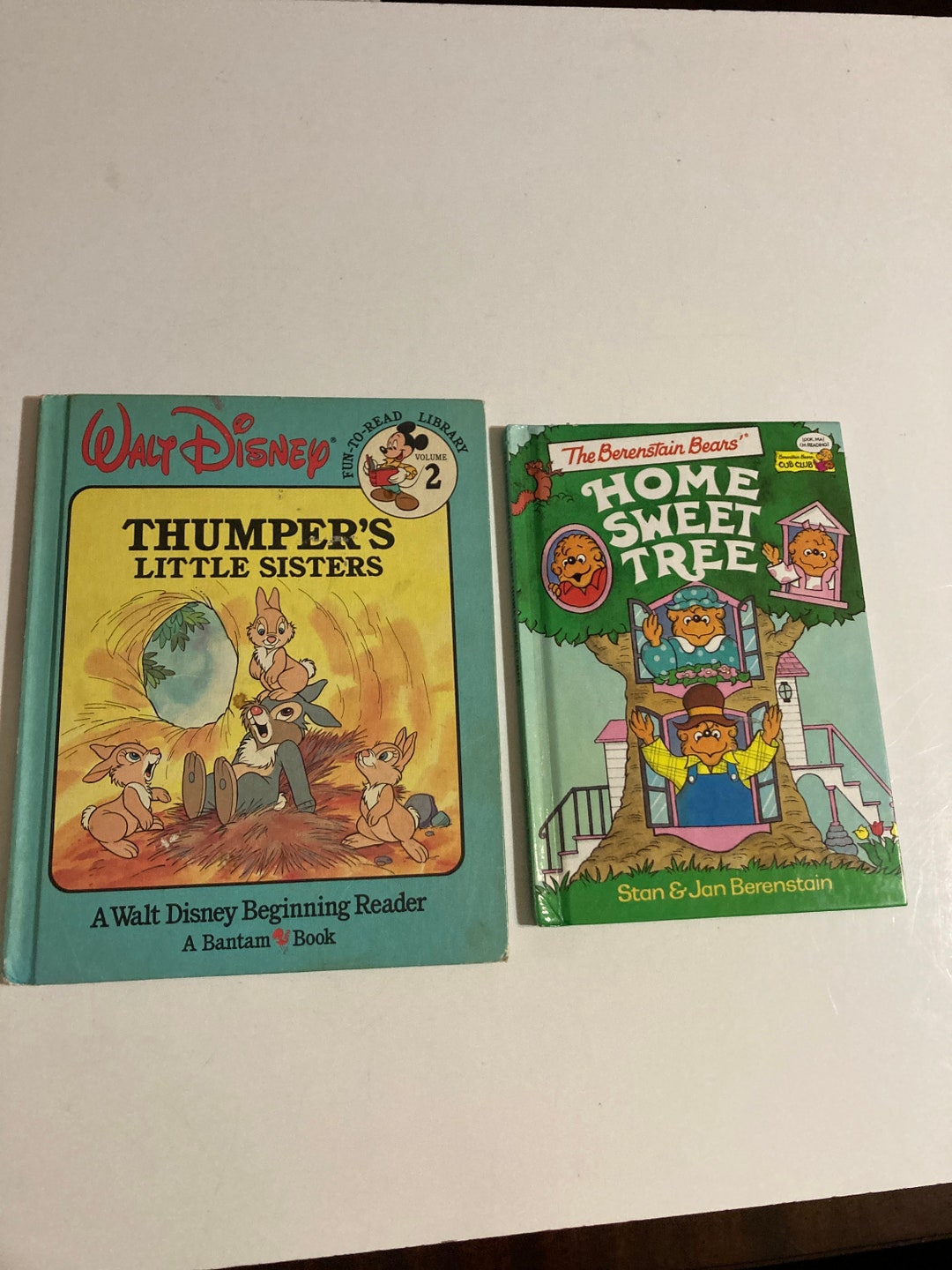 Walt Disney Thumper’s Little Sisters Bantam Hardback Book & Berenstain ...