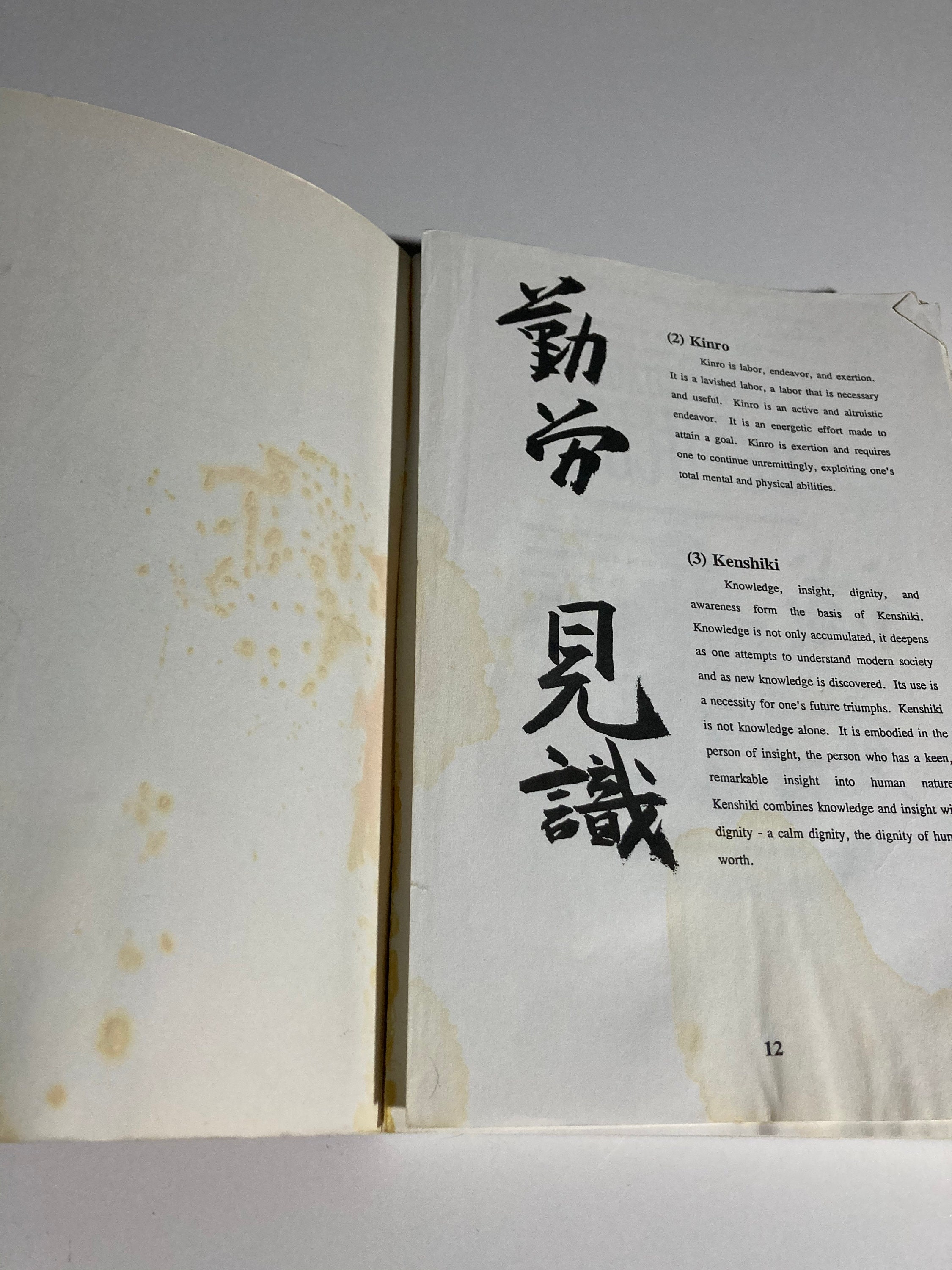 Kokushi-rye Jujutsu by Nobuyoshi Higashi Book Rare Jujutsu Instruction ...