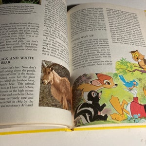 Disney’s Wonderful World of Knowledge Animals Volume 1 Hardback Book ...