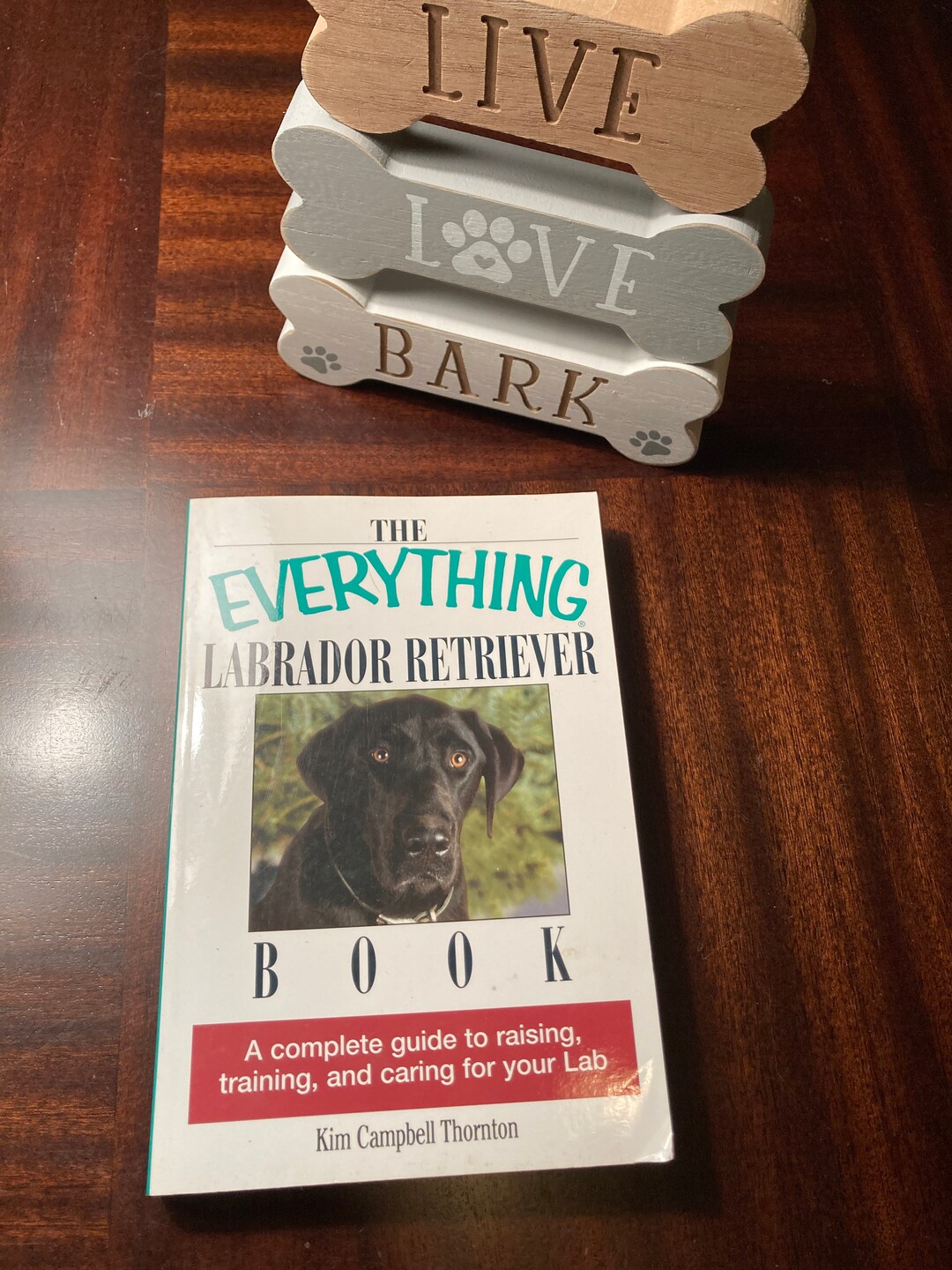 The Everything Labrador Retriever Book by Thornton Paperback Book ...