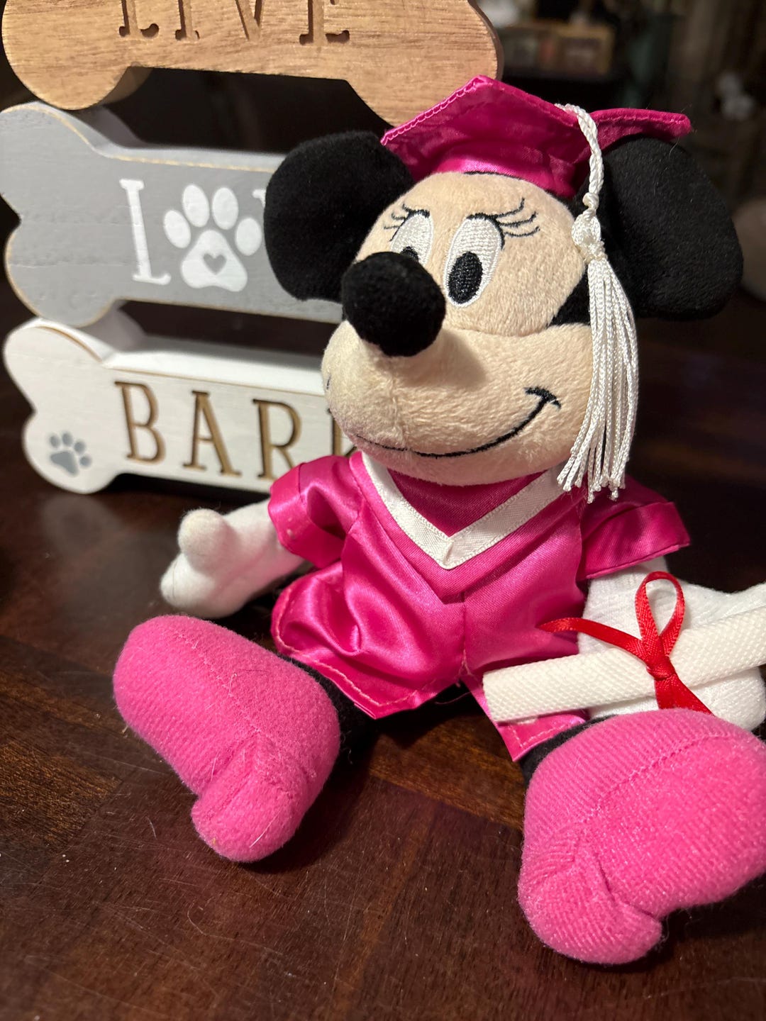 Disney Minnie Mouse 8 Graduation Gown and Hat Pink With Tassel Diploma ...