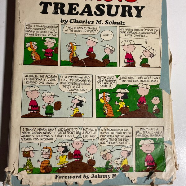 Peanuts Comic Strip - Etsy