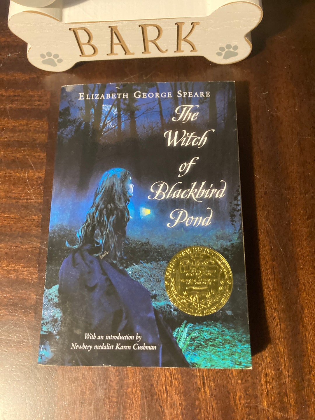 The Witch of Blackbird Pond by Speare Paperback Book Newberry Medal ...