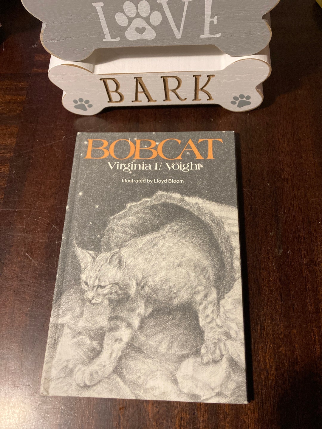 Bobcat by Virginia Voight Hardback Book Vintage 1978 Illustrated by ...