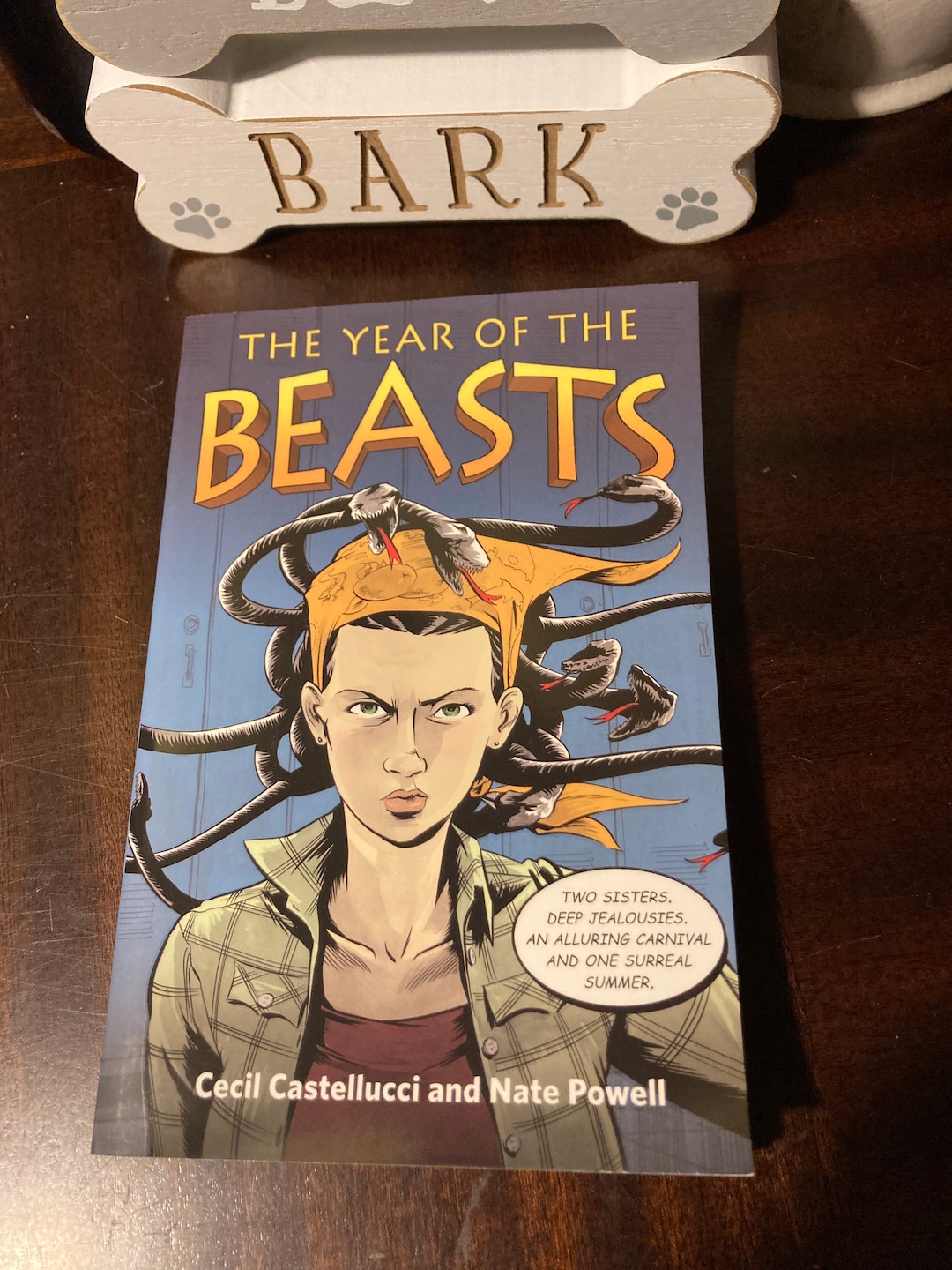 The Year of the Beasts by Cecil Castellucci and Nate Powell Paper ...