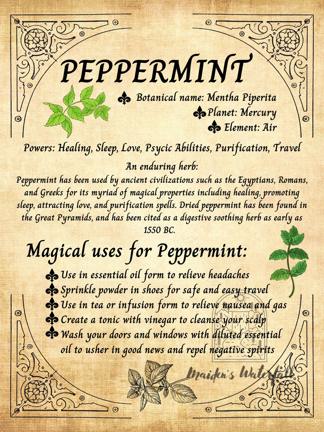 Kitchen Witchery Printable Peppermint Enduring Herb Grimoire Book of ...
