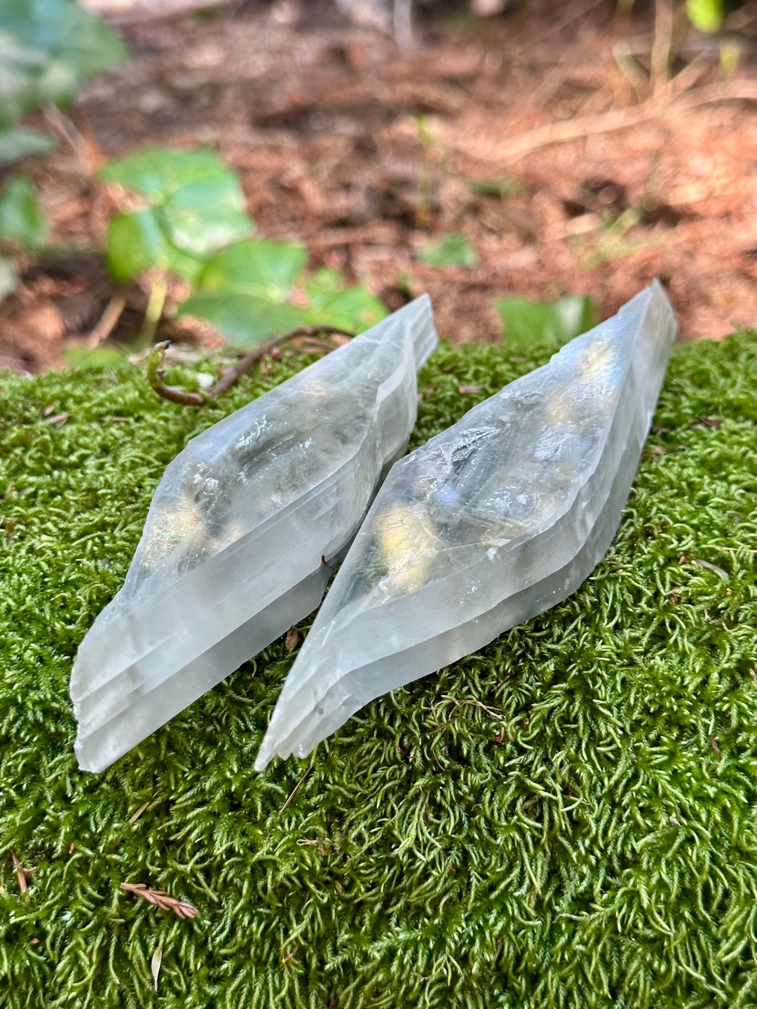 Beautiful Specimens of Utah Natural Selenite With Moss Inclusions leaf ...