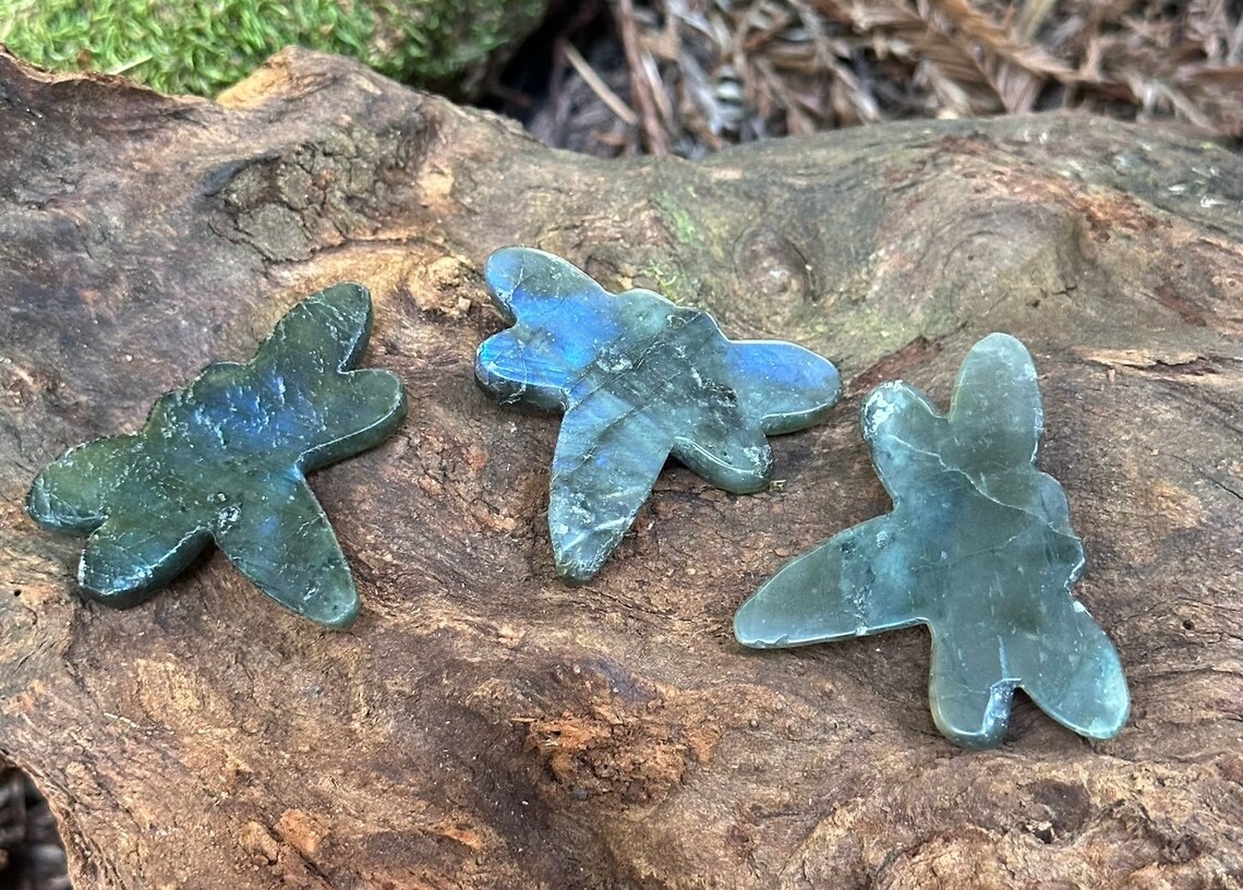 Labradorite Dragon-fly - Etsy