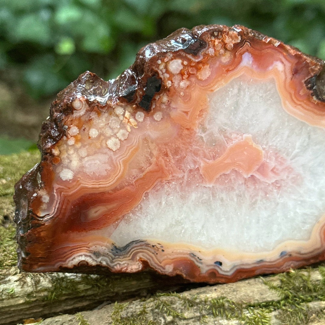 Madagascar Carnelian Flower Agate Slab 7.38 Oz - Etsy