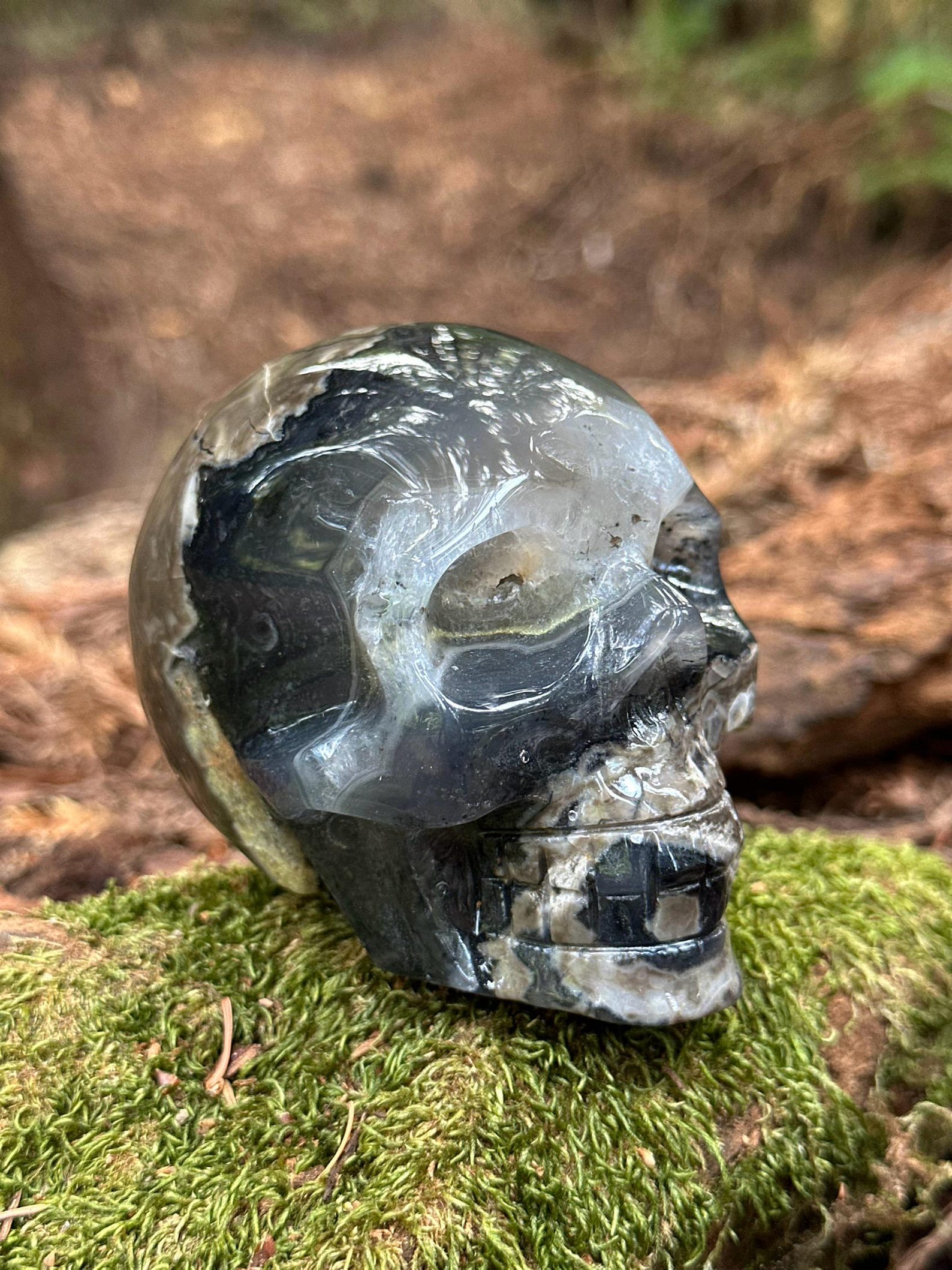 La Lune - UV Reactive Volcano Agate Skull - 1.15 Lb - Exclusive ...