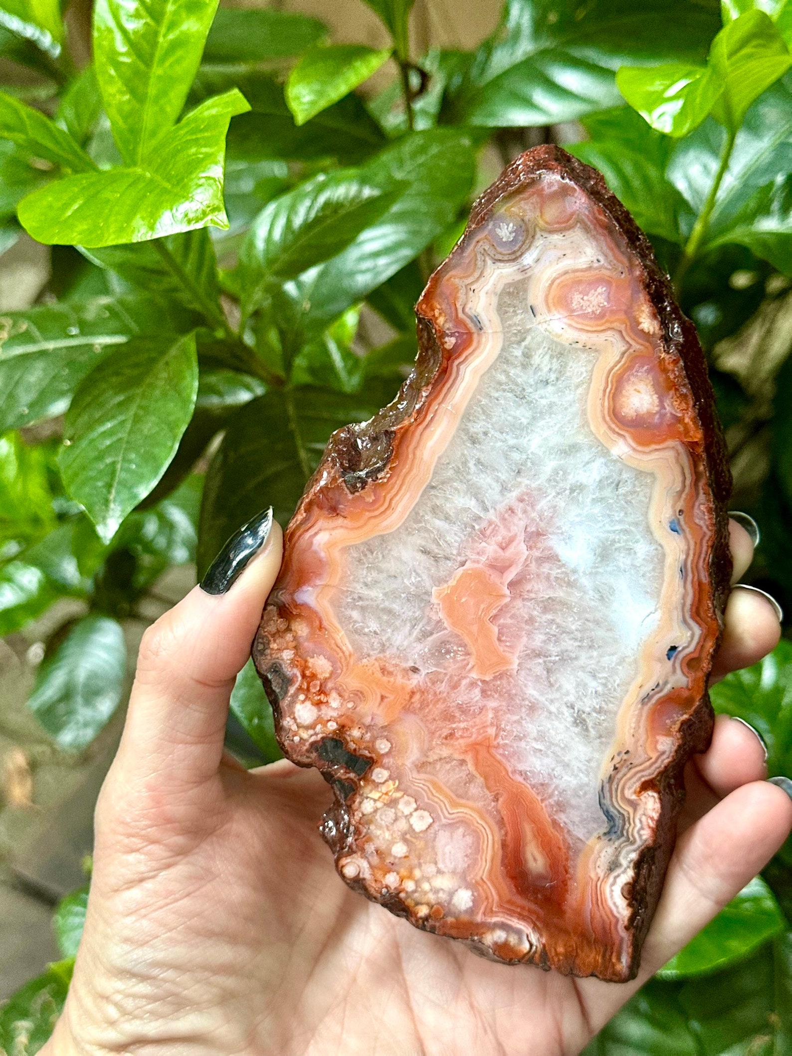 Madagascar Carnelian Flower Agate Slab (7.38 Oz) - Etsy
