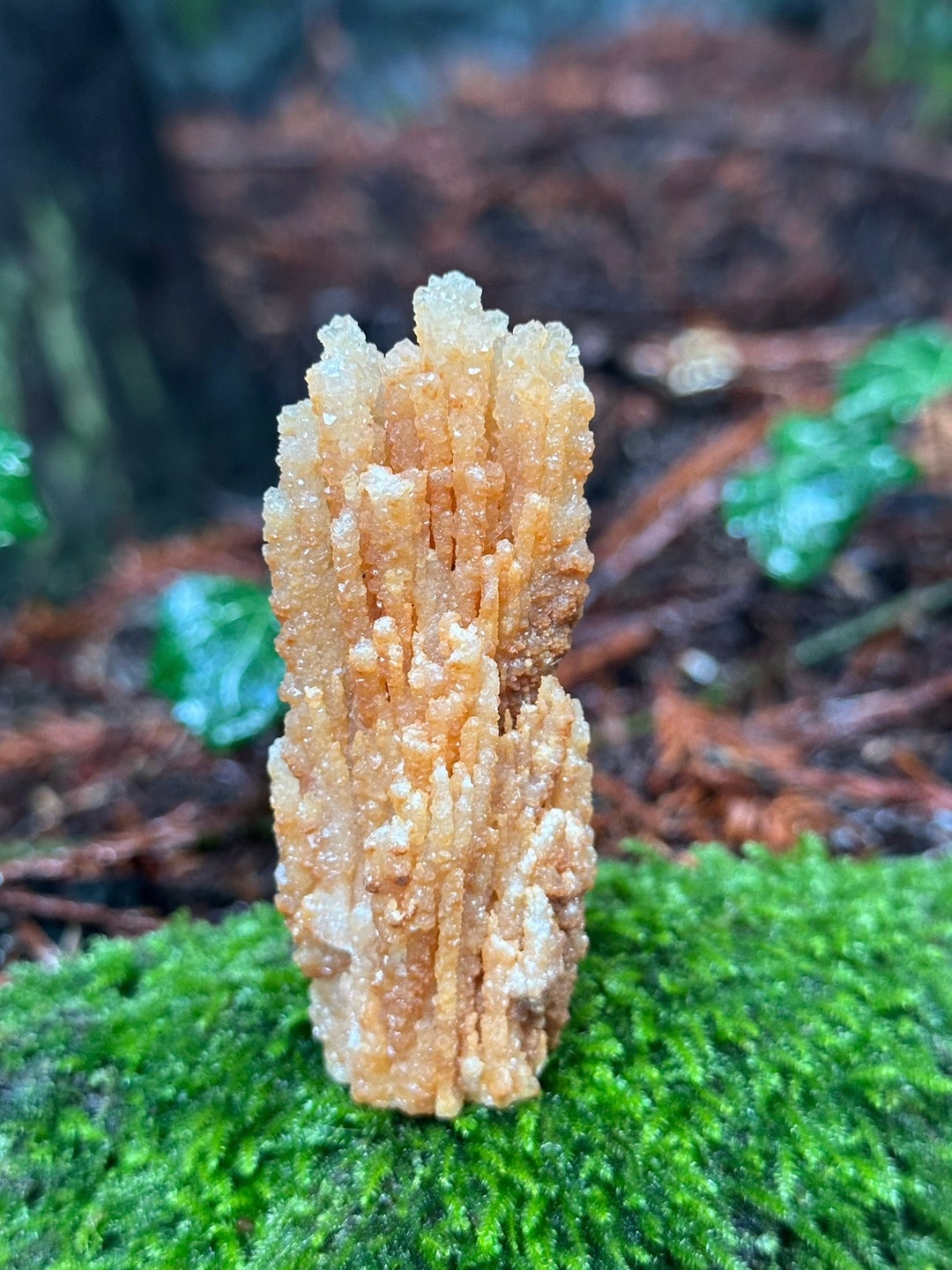 Stalactite, Natural Tower Golden Calcite ~ Small Specimens - Etsy