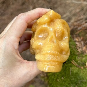 Orange Calcite Skull With Snake - Etsy