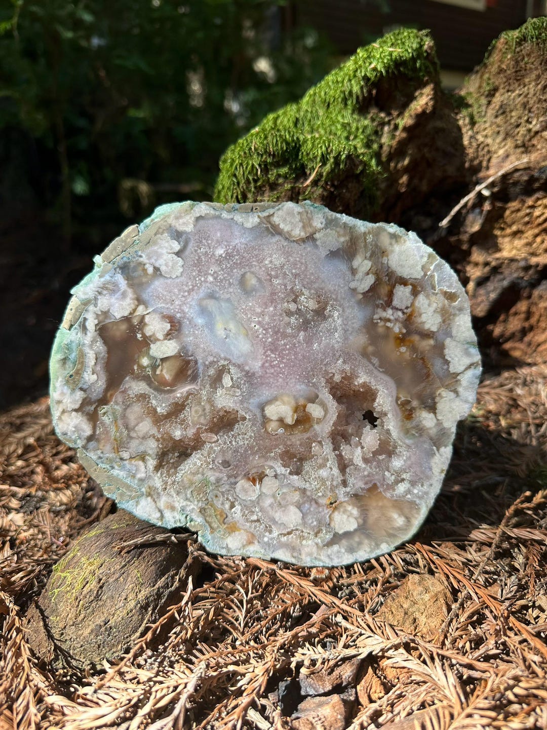 Rare Flower Agate Slab - Etsy