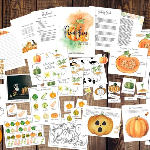 Turkey Life Cycle Mini Unit Study Montessori and Charlotte - Etsy