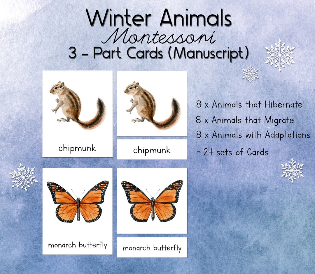 Winter Animals Montessori 3 Part Cards (manuscript) | Charlotte Mason ...