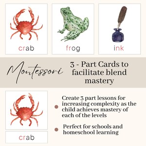 Montessori Blue Series 3 Part Cards | Phonics Lists | Printable Phonics ...