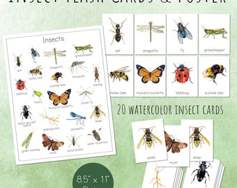 Bugs Insects Cards 28 Cards Montessori Insect 3 Part Cards - Etsy