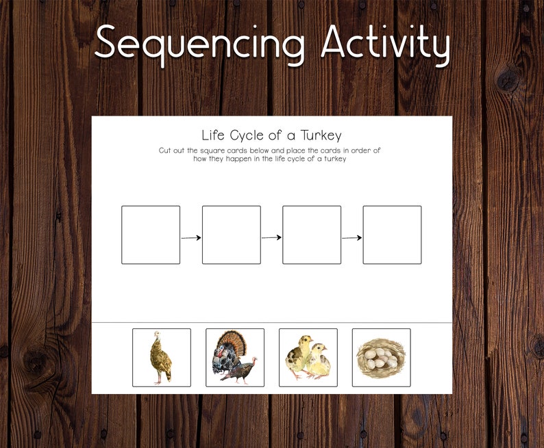 Turkey Life Cycle Mini Unit Study | Montessori and Charlotte Mason ...