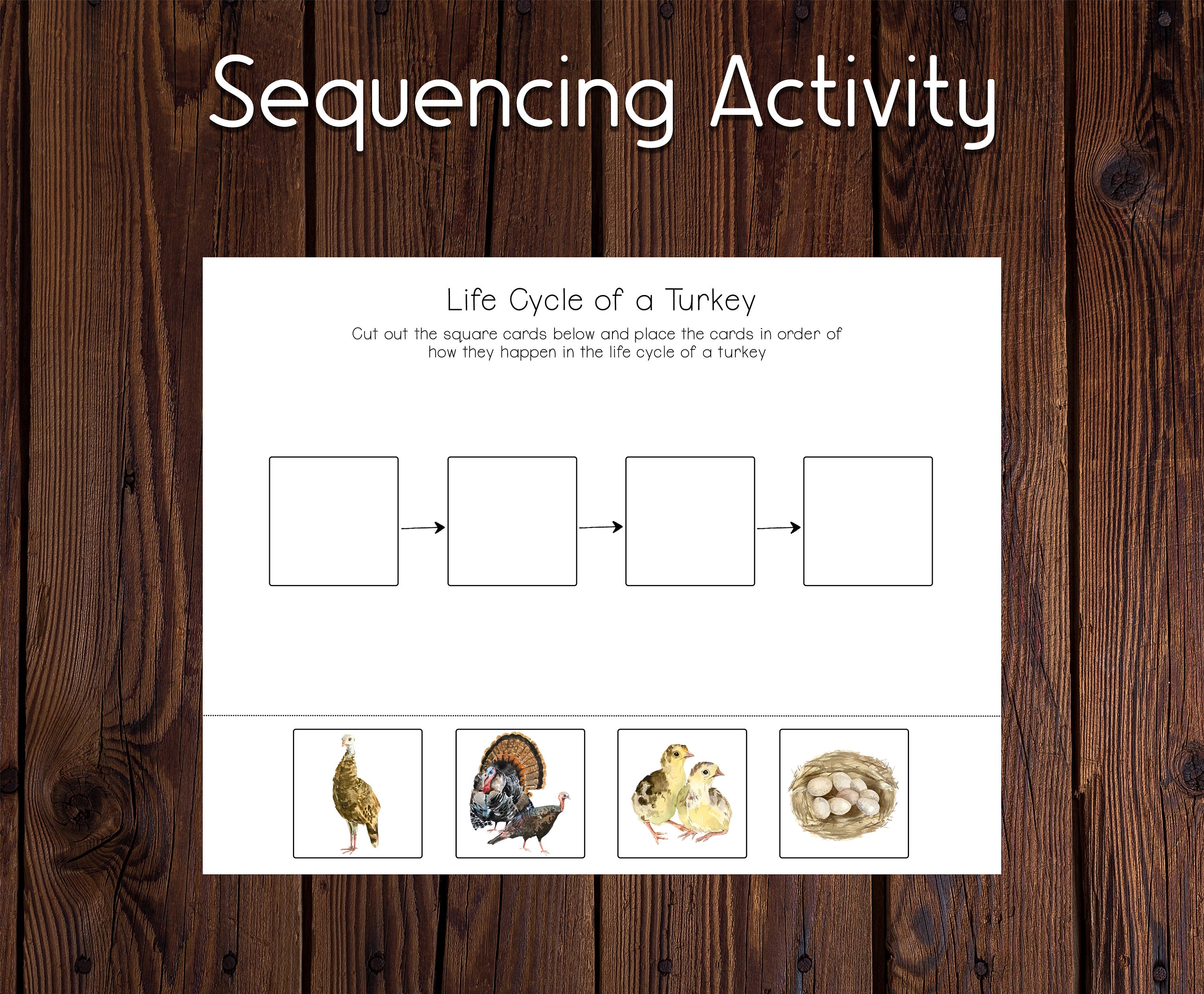 Turkey Life Cycle Mini Unit Study | Montessori and Charlotte Mason ...